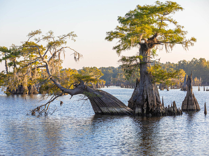 dead lakes 6