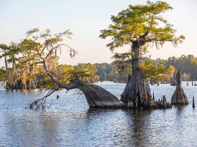 dead lakes 6