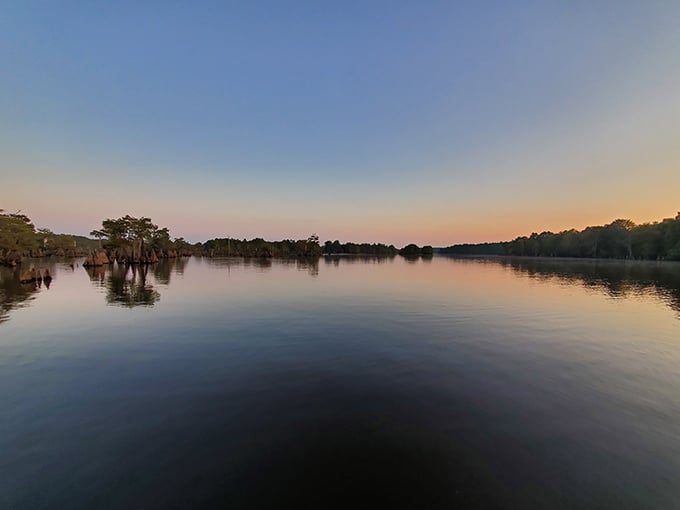 Dead Lakes 7