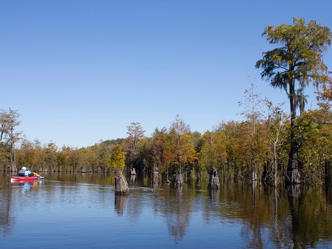 dead lakes 9
