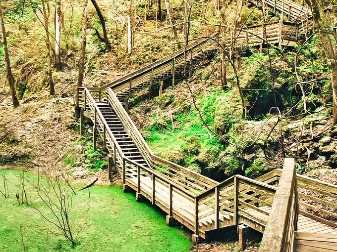 Devil's Millhopper Geological State Park 1