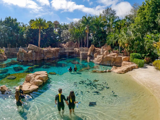 discovery cove 1