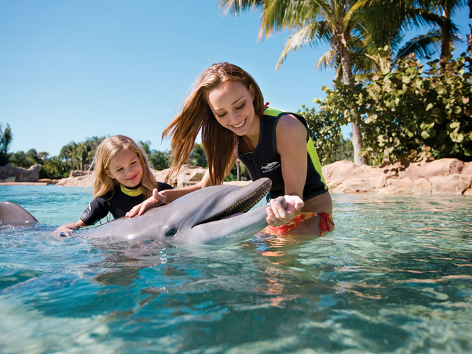 discovery cove 3