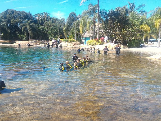 discovery cove 8