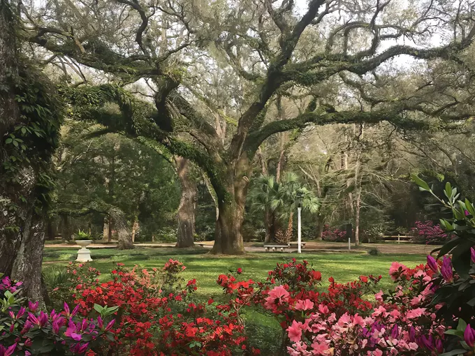 eden gardens state park 1