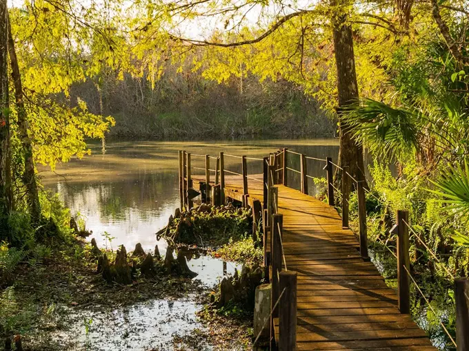 fakahatchee strand preserve state park 1
