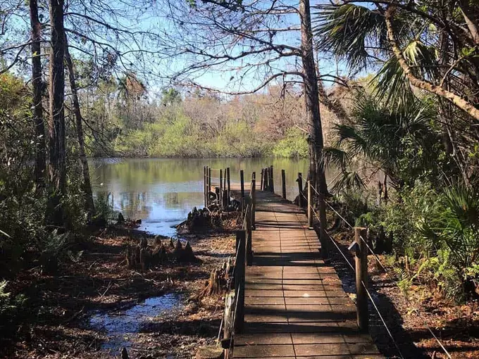 fakahatchee strand preserve state park 7