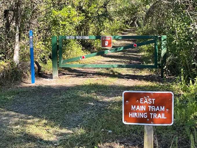 fakahatchee strand preserve state park 8