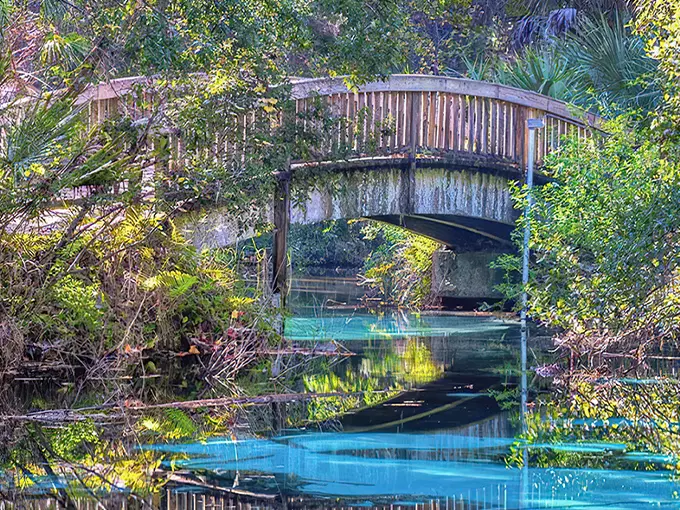 Fern Hammock Springs 1