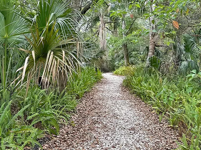 folly farm nature preserve 1