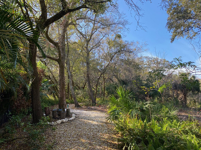 folly farms nature preserve 9