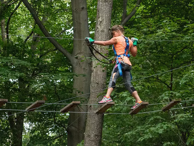 frankenmuth aerial park 1