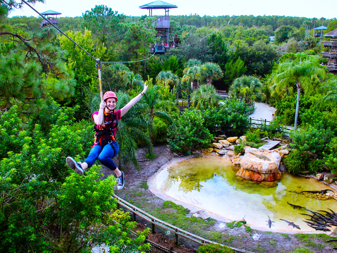 Gatorland 3