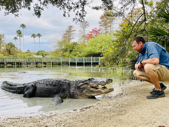 Gatorland 6