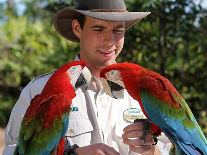 Gatorland 8