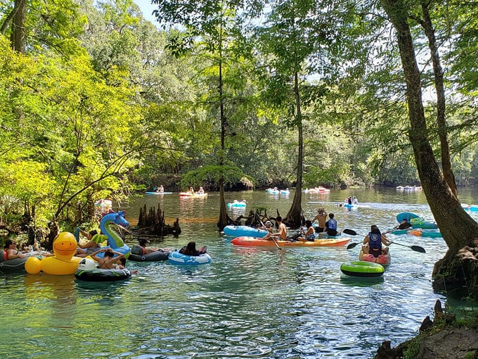 ginnie springs 2