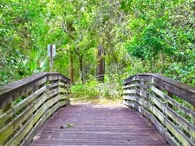 Halpatiokee Regional Park 1