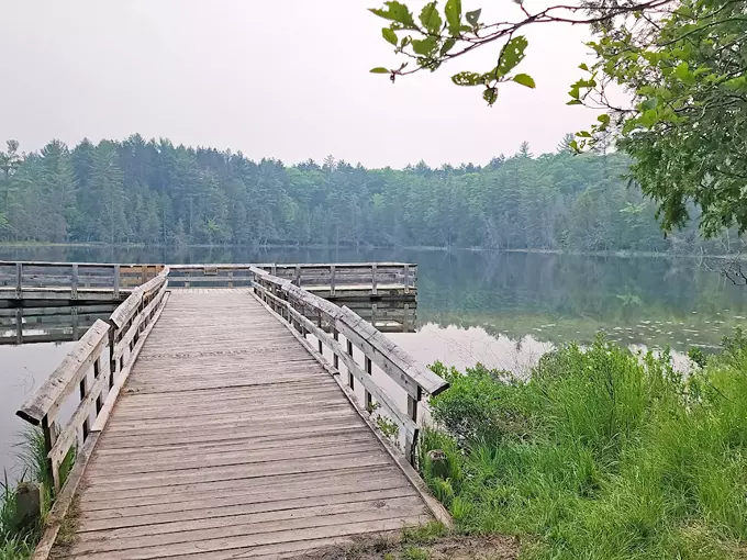 Hartwick Pines State Park 1