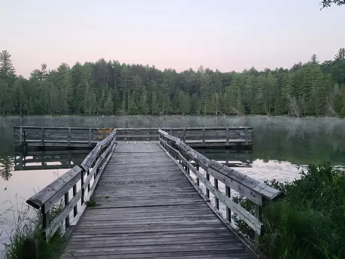 Hartwick Pines State Park 3