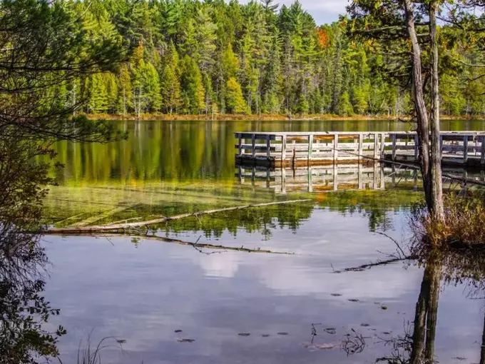 Hartwick Pines State Park 4