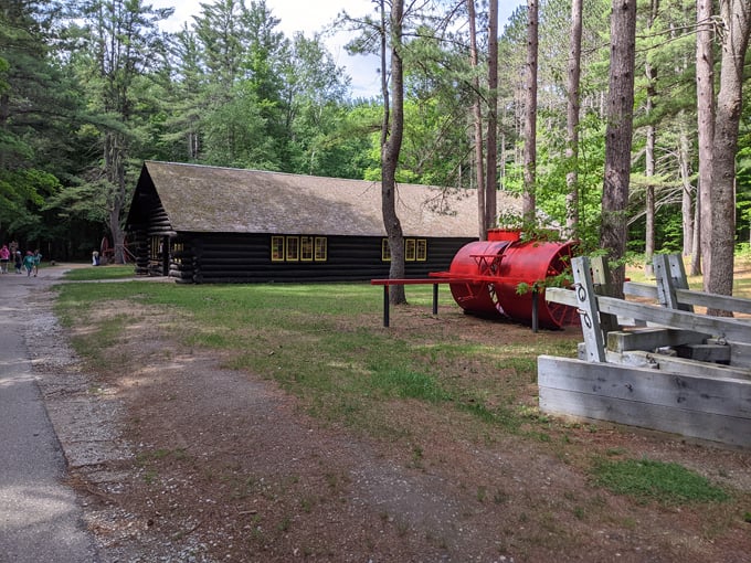 Hartwick Pines State Park 6