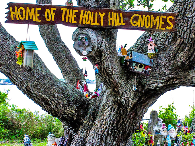 holly hill gnome tree 1