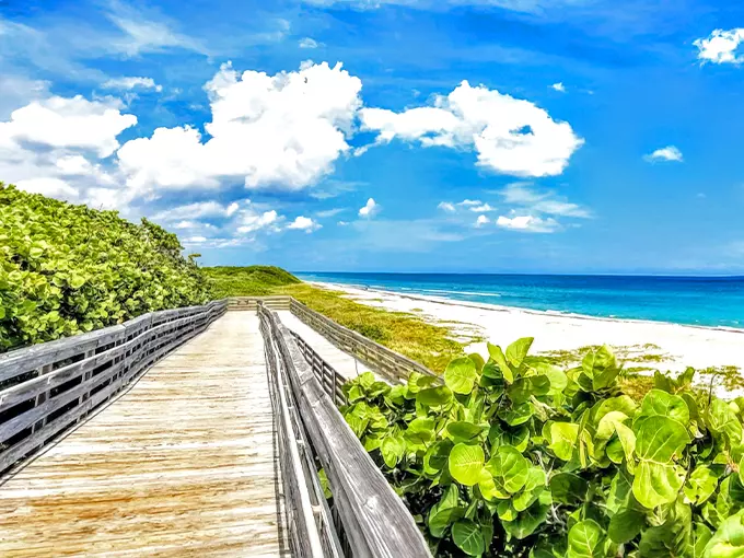 john d. macarthur beach state park 1