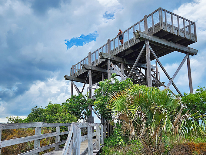 Jonathan Dickinson State Park Observation Tower 1