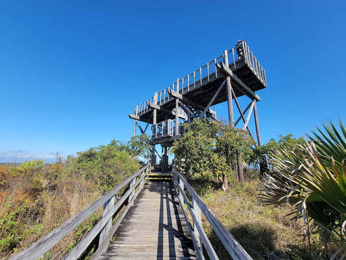 Jonathan Dickinson State Park Observation Tower 2