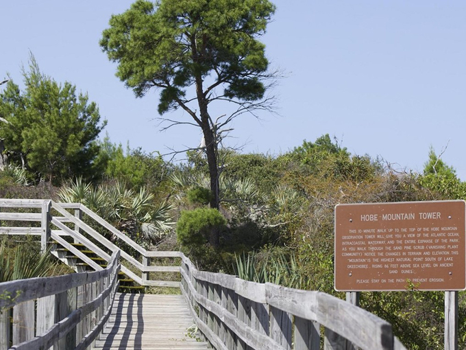 Jonathan Dickinson State Park Observation Tower 3