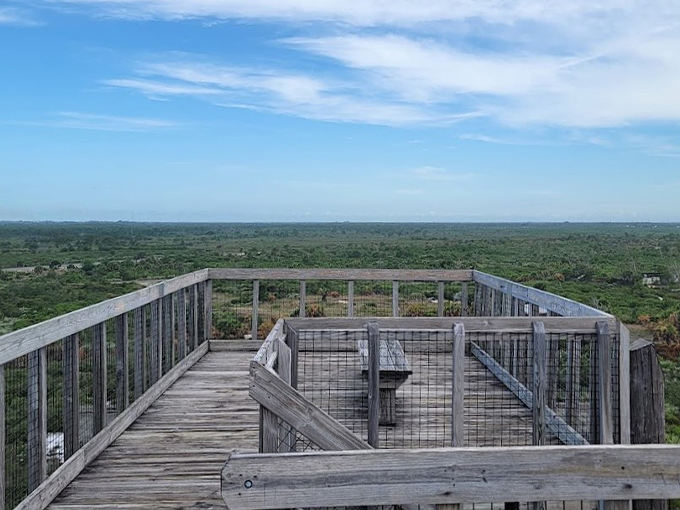 Jonathan Dickinson State Park Observation Tower 4