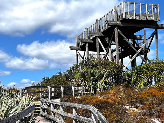 Jonathan Dickinson State Park Observation Tower 6