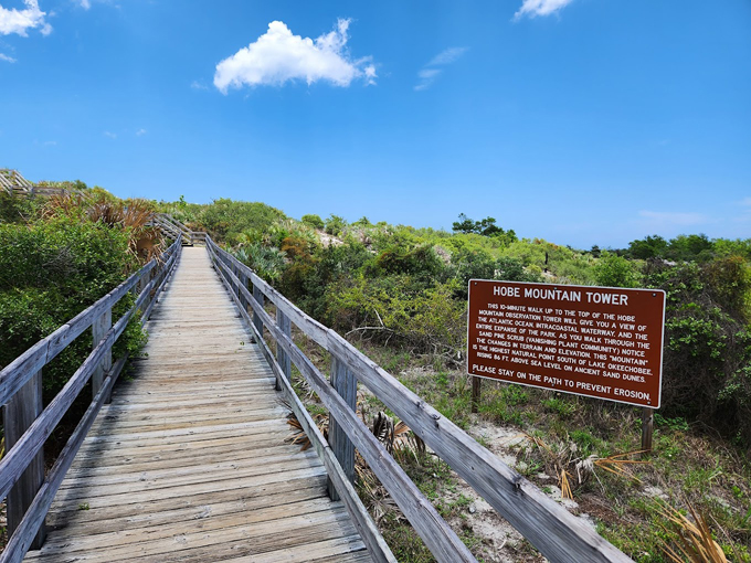 Jonathan Dickinson State Park Observation Tower 7