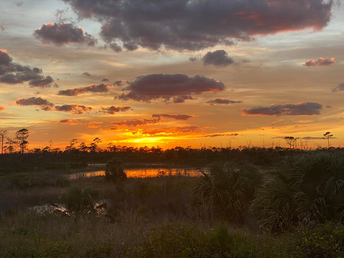 jonathan dickinson state park observation tower 9