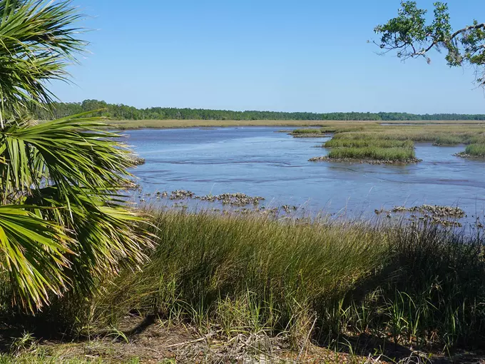 Kingsley Plantation 7