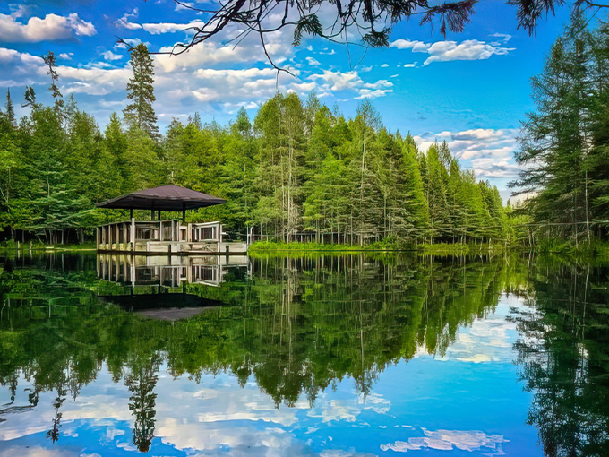 Kitch-iti-kipi 1
