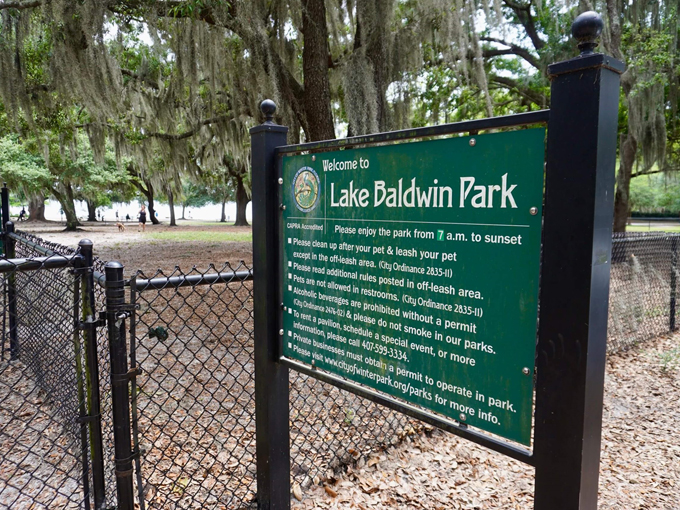 lake baldwin dog park 2