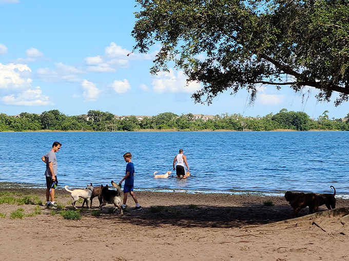 lake baldwin dog park 3