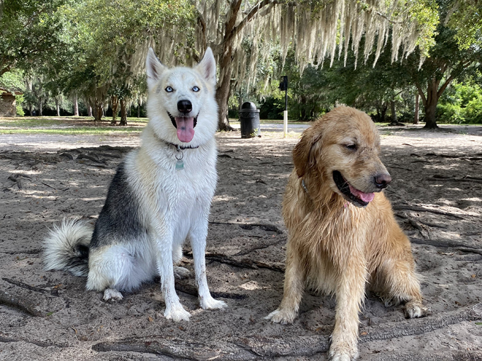 lake baldwin dog park 5