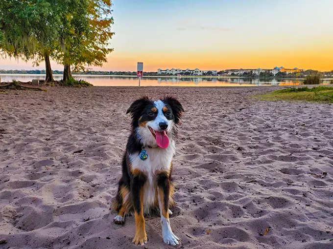 lake baldwin dog park 9