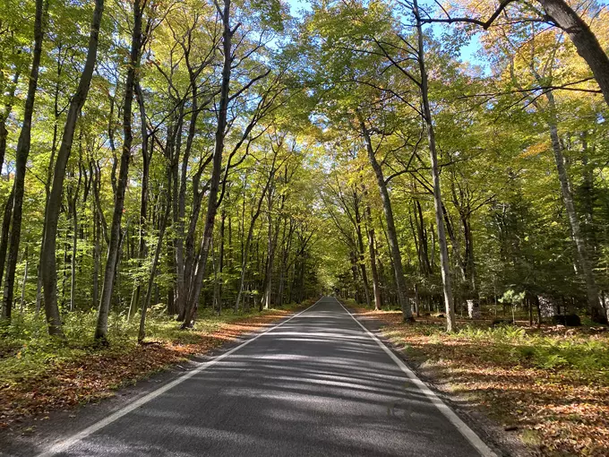 M-119 Tunnel of Trees 3