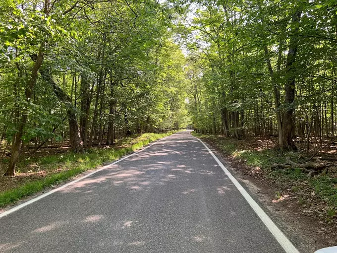 M-119 Tunnel of Trees 4