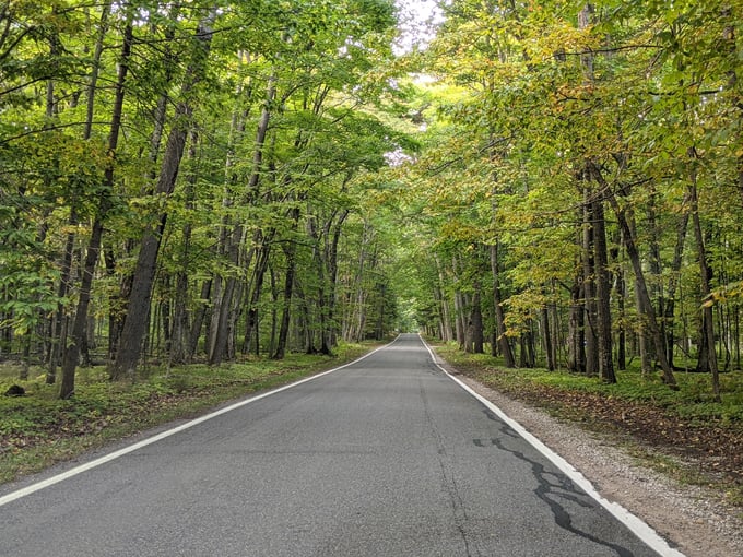 M-119 Tunnel of Trees 8