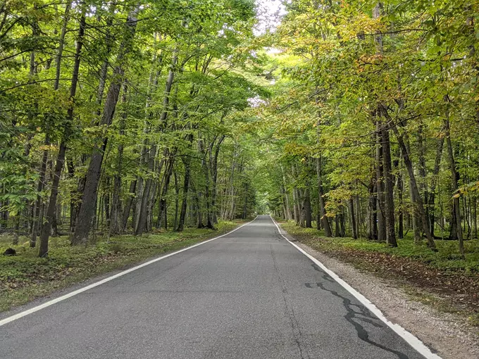 M-119 Tunnel of Trees 8