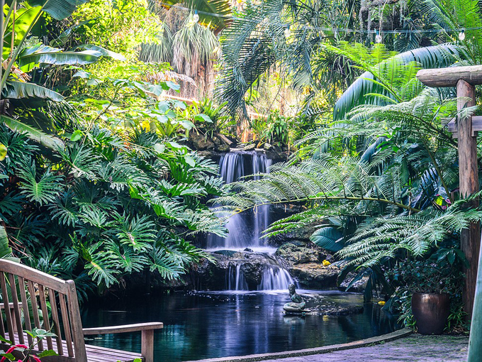 Marie Selby Botanical Gardens 1
