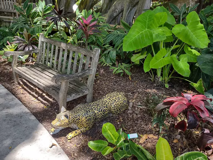 Marie Selby Botanical Gardens 6
