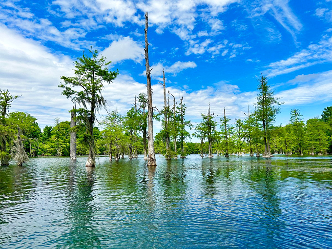 Merritts Mill Pond 2