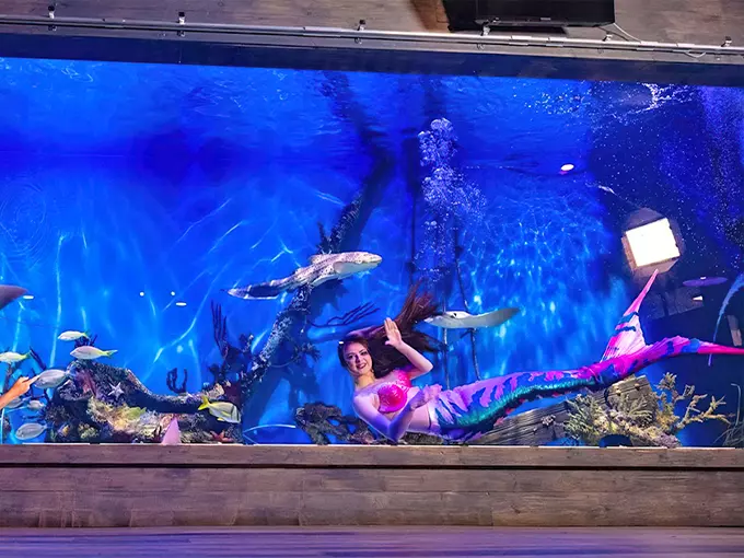 Mertailor's Mermaid Aquarium 1