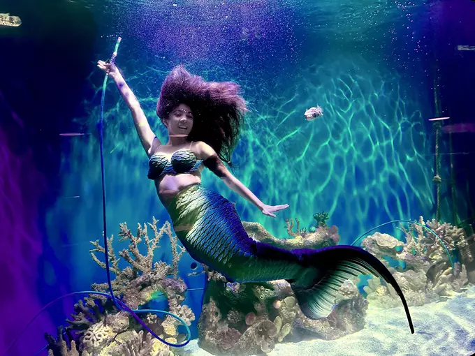 mertailors mermaid aquarium encounter 1