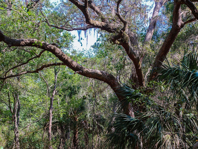 moccasin lake nature park 3